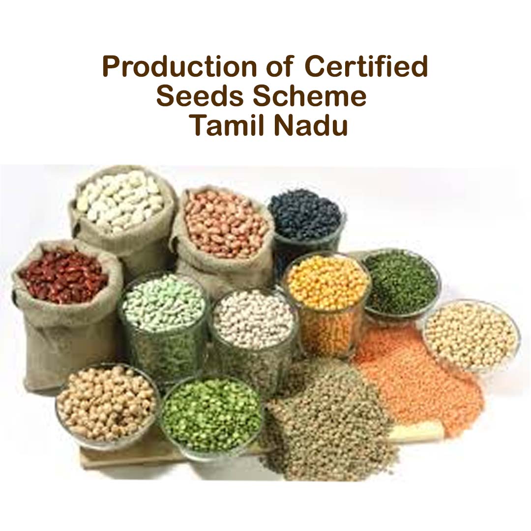 Production of Certified Seeds Scheme – Tamil Nadu | Agriculture Rural ...