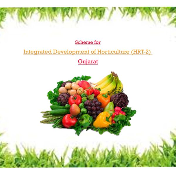 Scheme for Integrated Development of Horticulture (HRT-2) – Gujarat ...